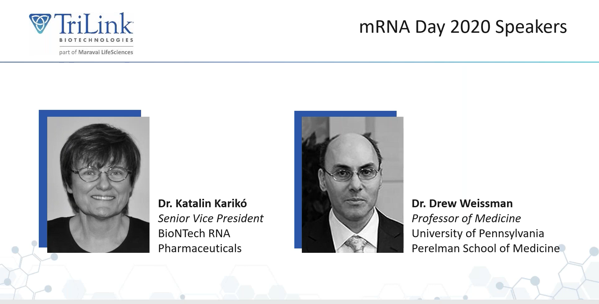 게시판 > mRNA 게시판 > 세미나 - Dr. Katalin Kariko / 현 VP - 독일 BioNTech